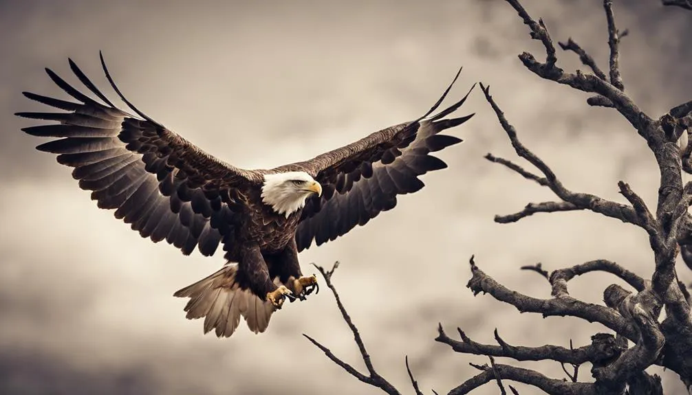 Ang Agila at Ang Kalapati